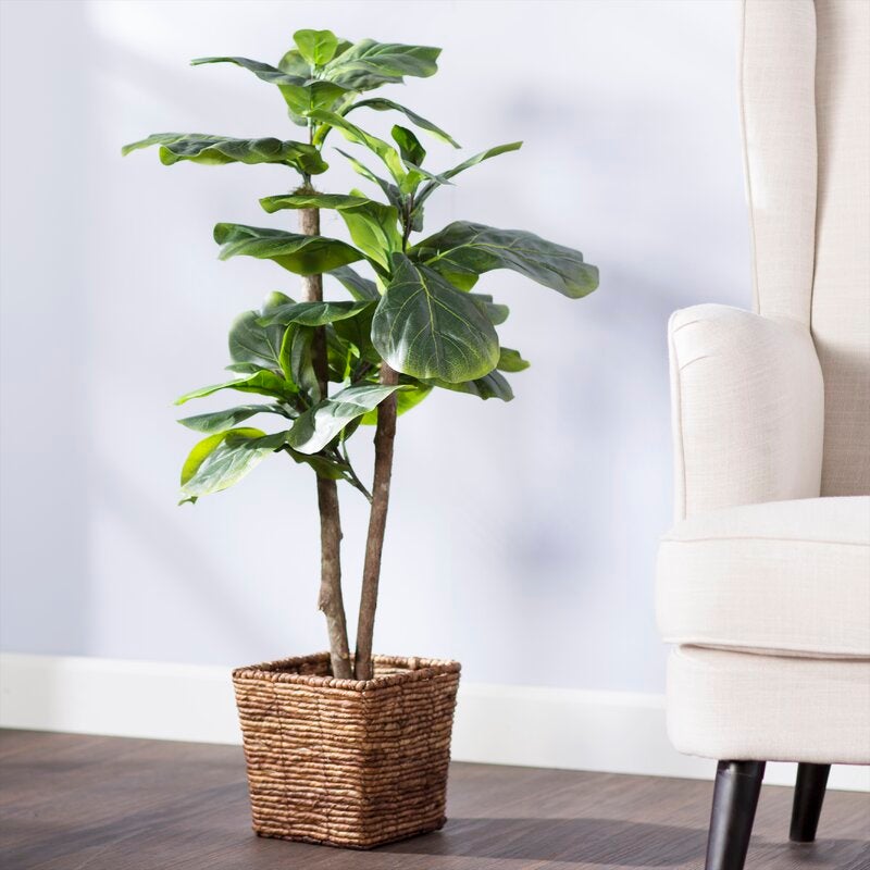 Beachcrest Home + Foliage Tree in Basket