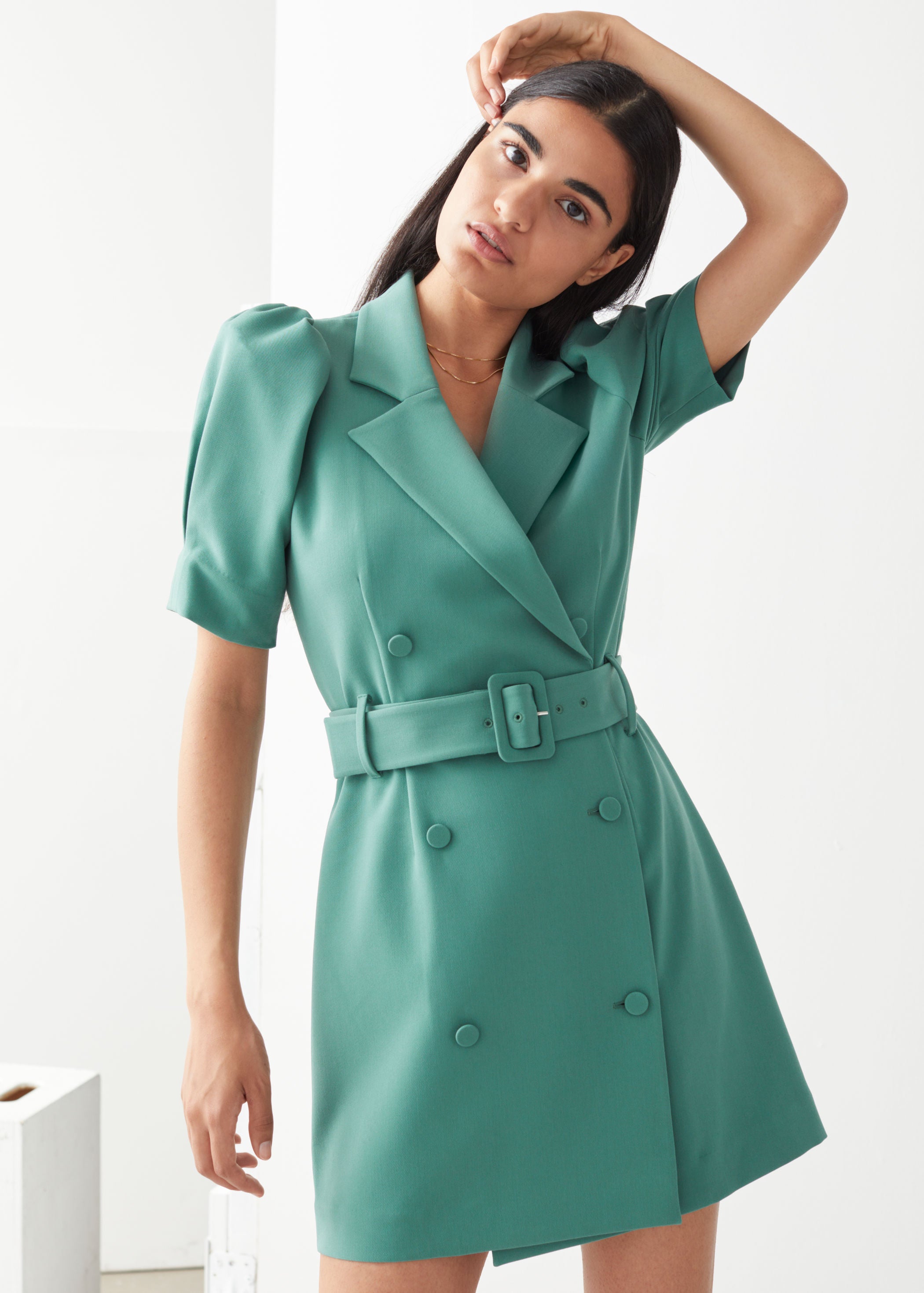 Puff Sleeve Belted Mini Dress