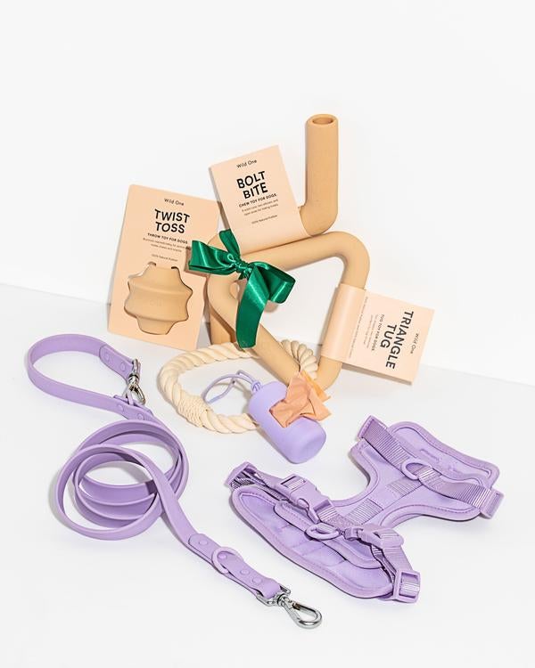 Wild One + The Harness Walk & Play Set