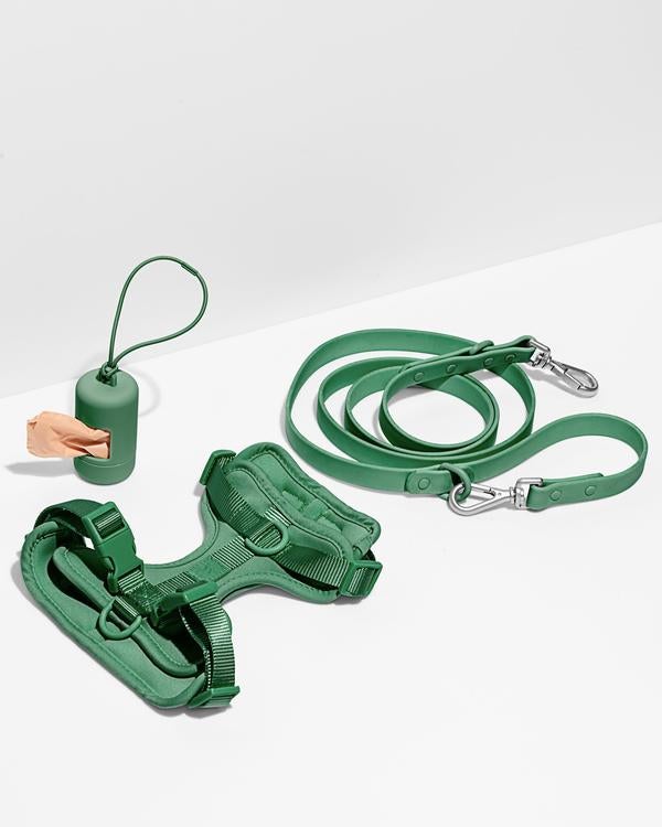 Wild One + Harness Walk Kit