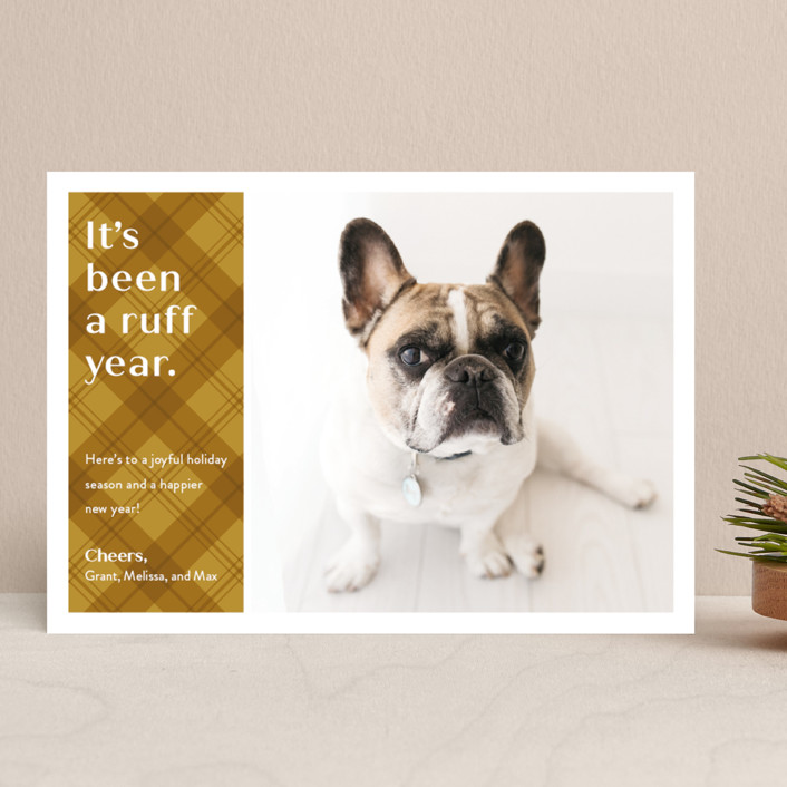 Erin German + Ruff Year (50)