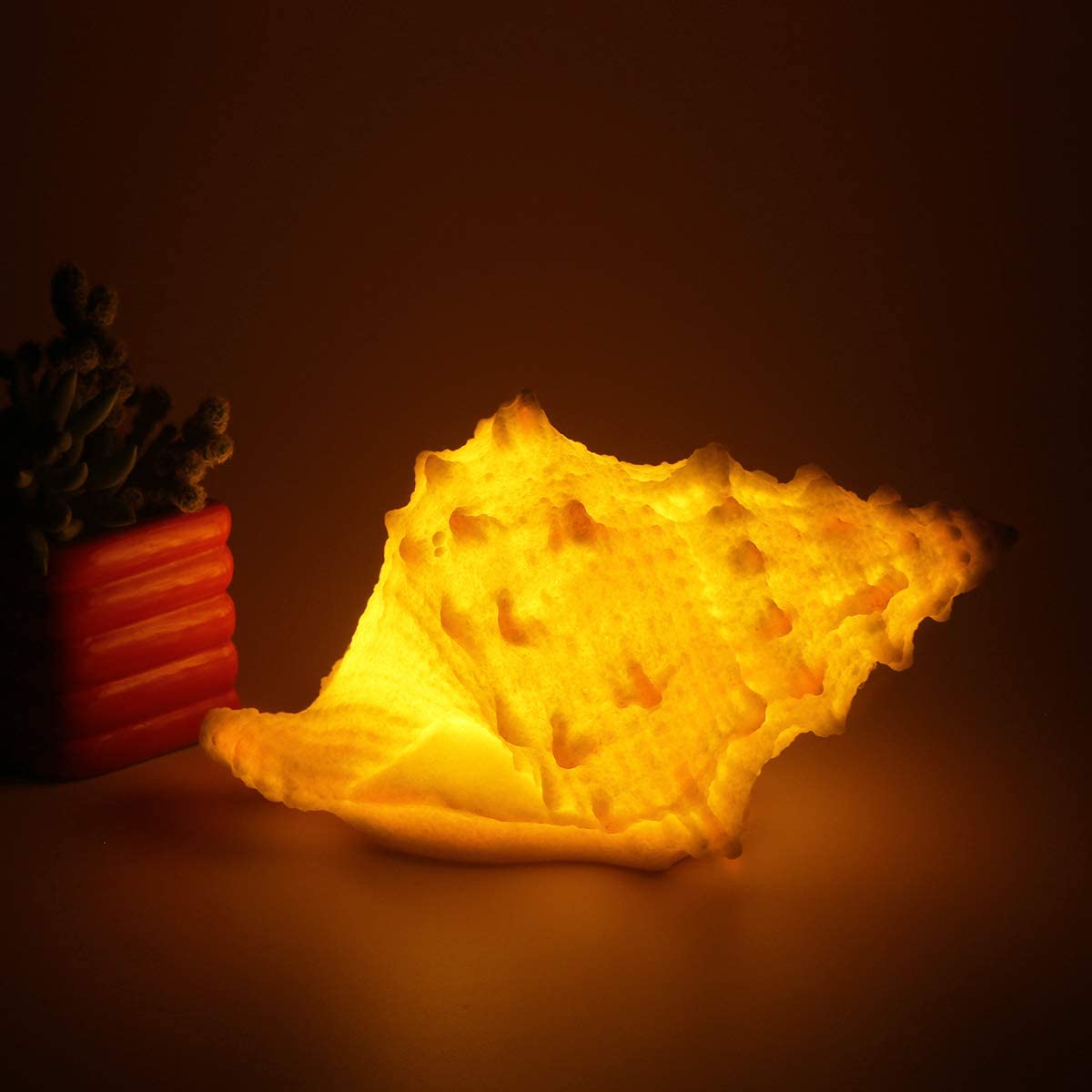 Greenic + Portable Conch Shell Lamp