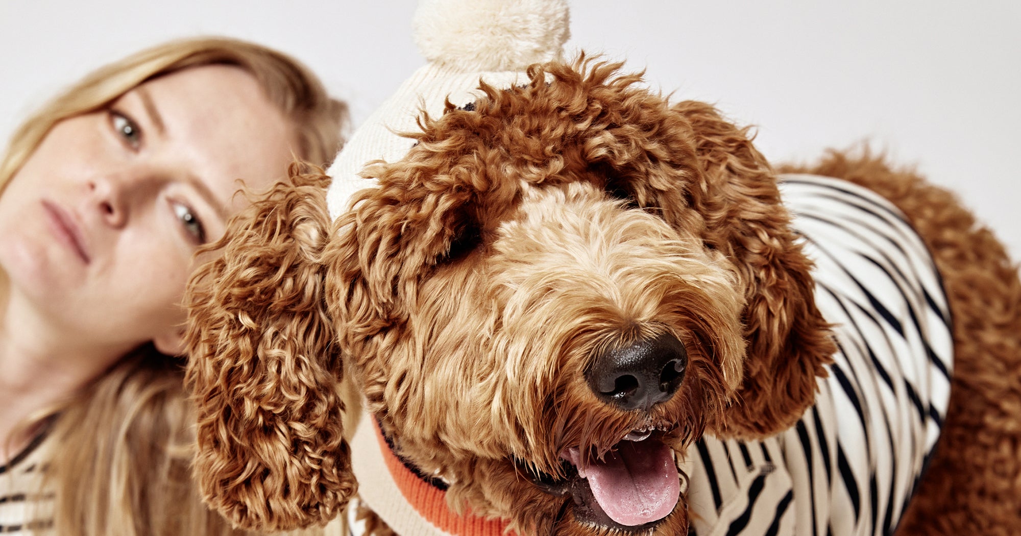 Best Balaclavas And Turtlenecks For Dogs 2021