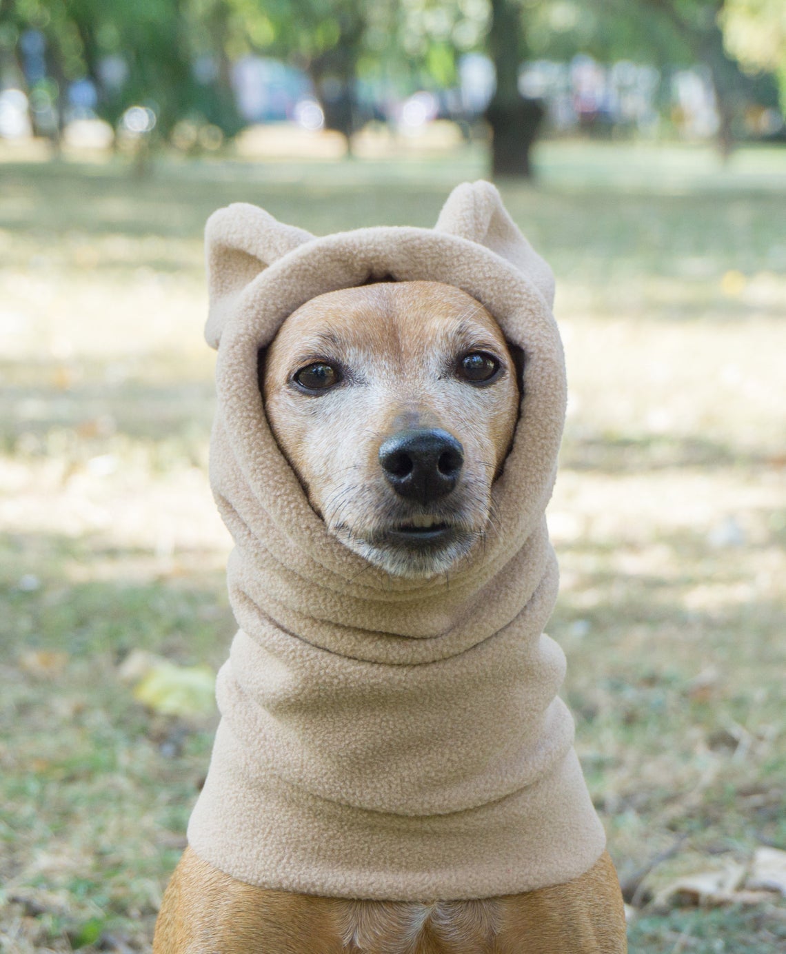 Etsy + Winter Dog Snood