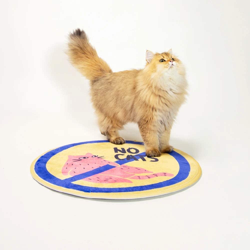 pidan + Non-Slip Indoor Cat Pad