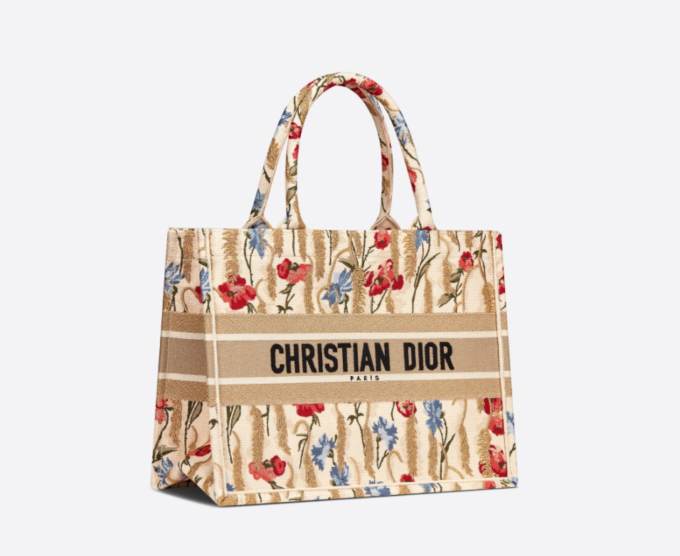Dior + Small Dior Book Tote