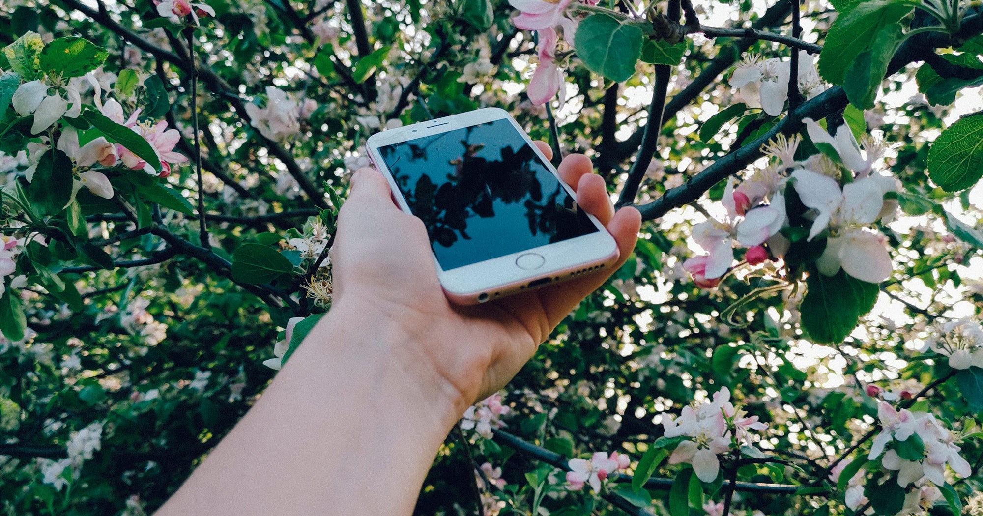 Why Do We Write Poetry In The iPhone Notes App?