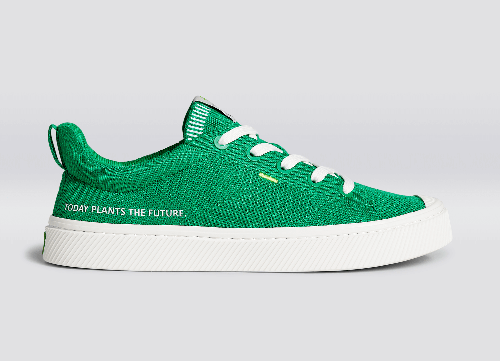 Cariuma + IBI Sneaker in Earth Day Green