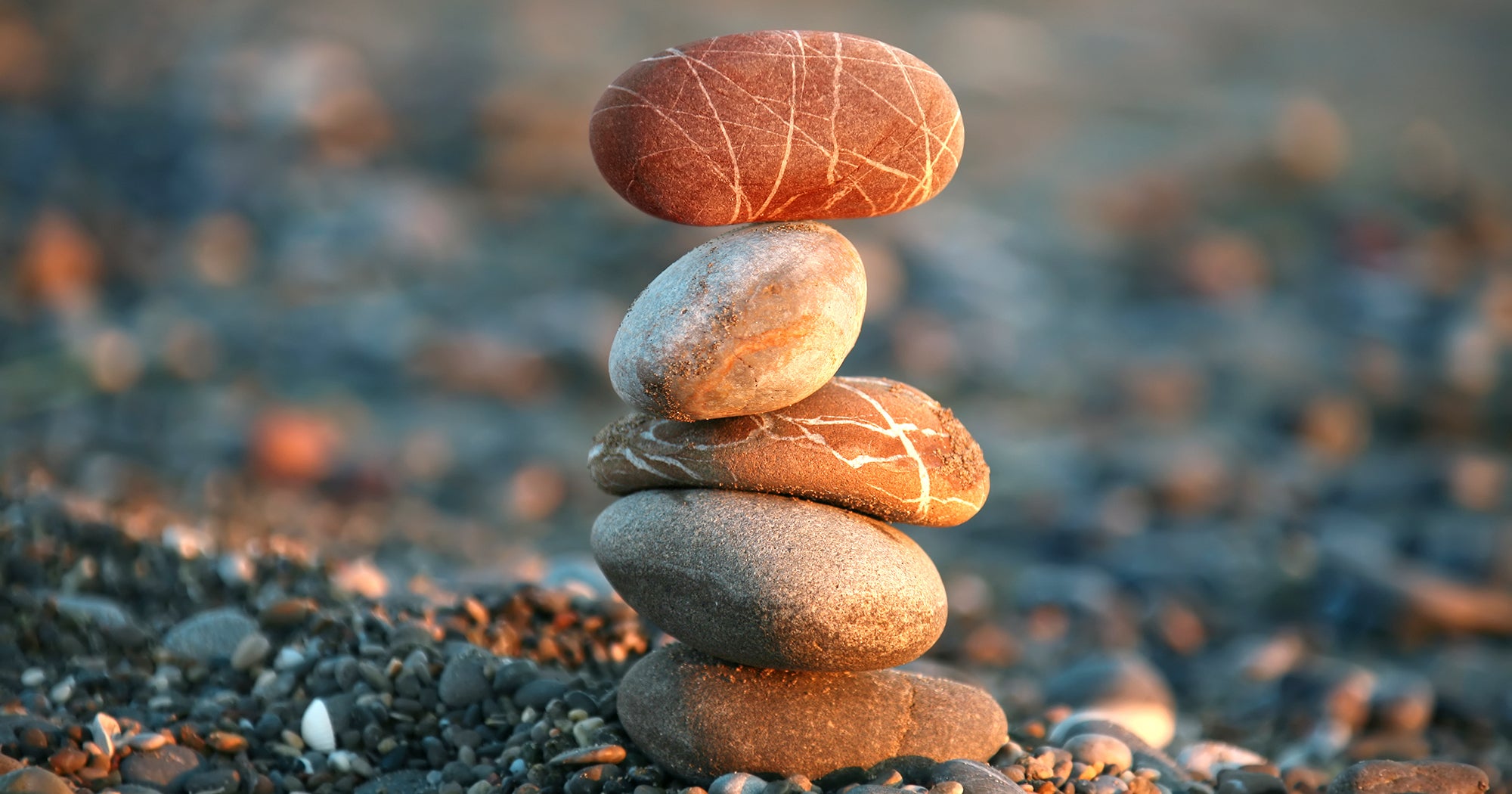 The Meaning Of Earth Signs: Taurus, Virgo, Capricorn