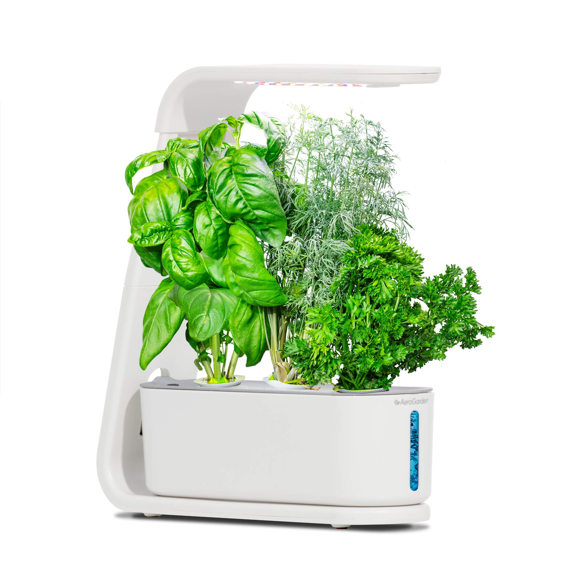AeroGarden + White Sprout Indoor Garden