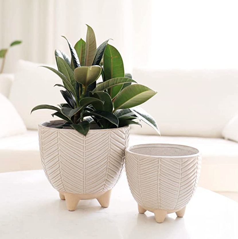 La Jolie Muse + Ceramic Footed Flower Plant Pots