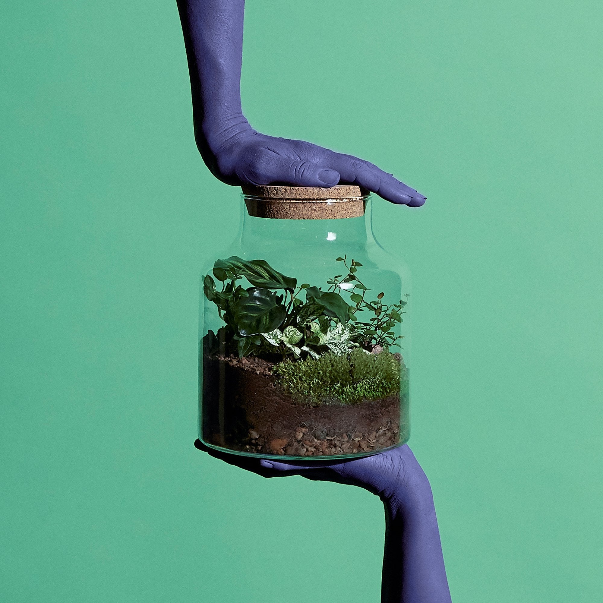 Leafage + Big Mama Terrarium