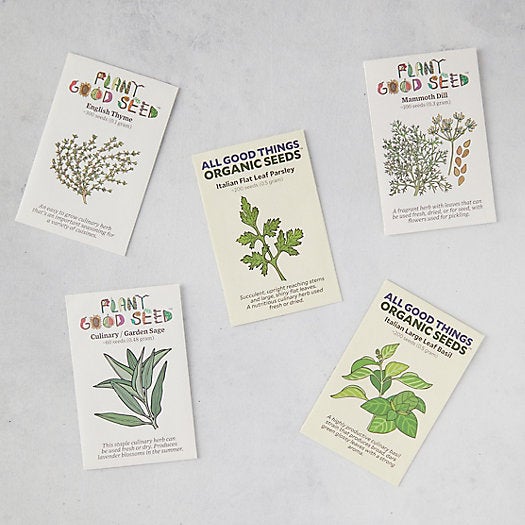 Plant Good Seed + Herb Garden Seeds, 5 Packets