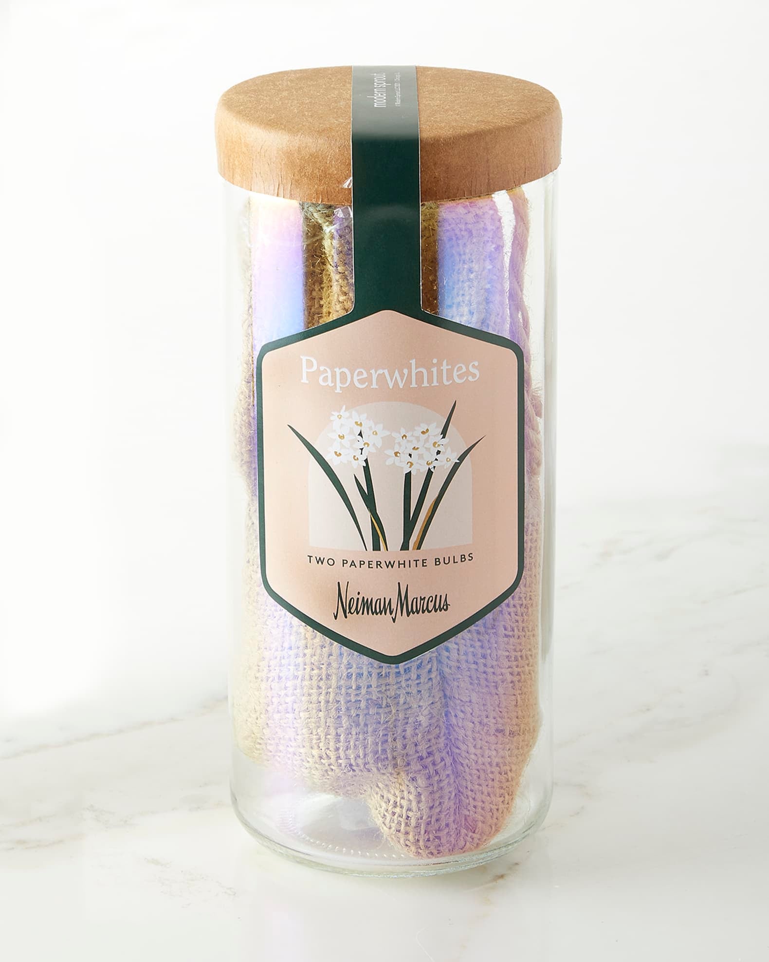 Modern Sprout + Paperwhite Bulb Growing Kit