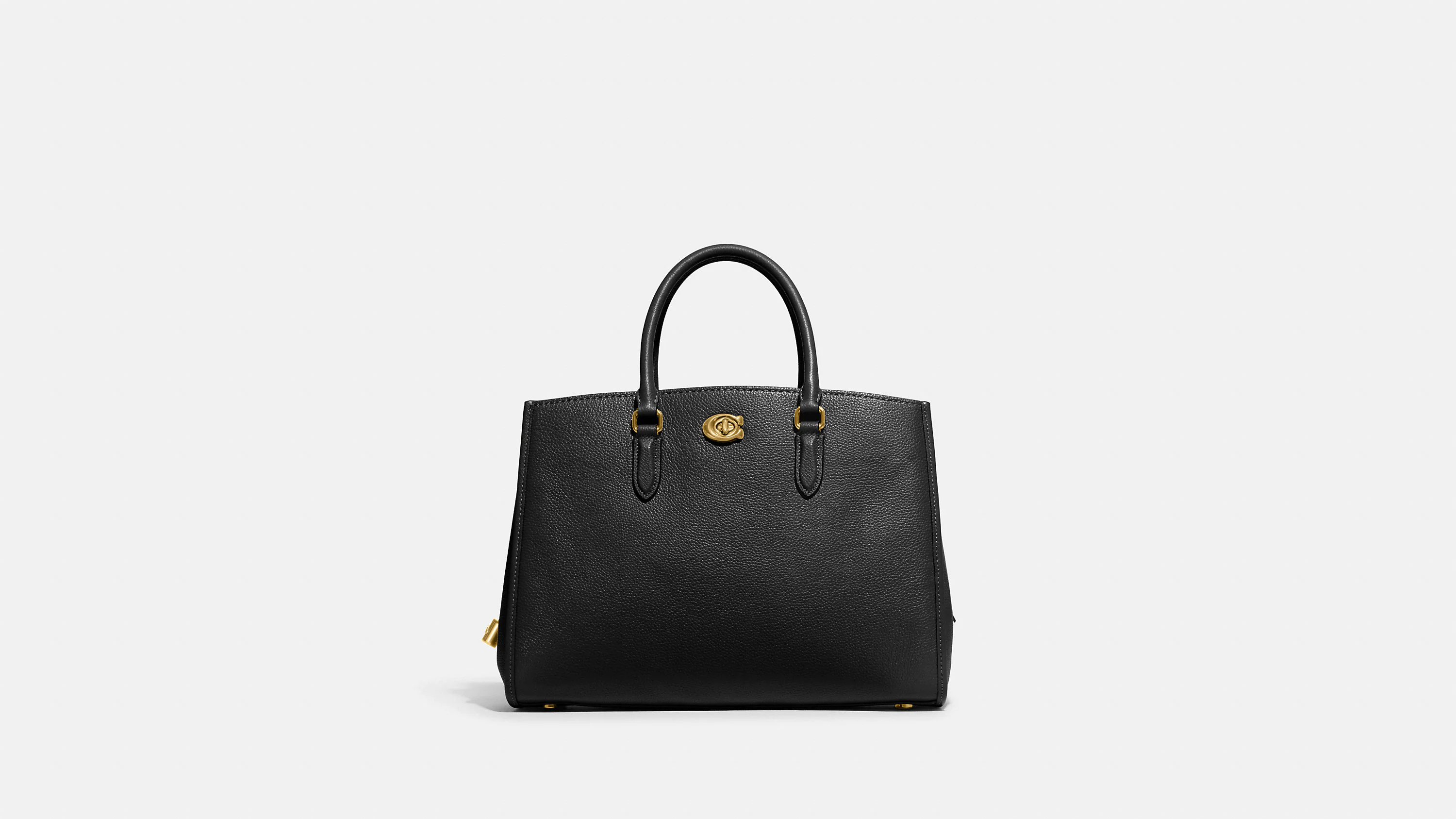 Coach + Brooke Carryall