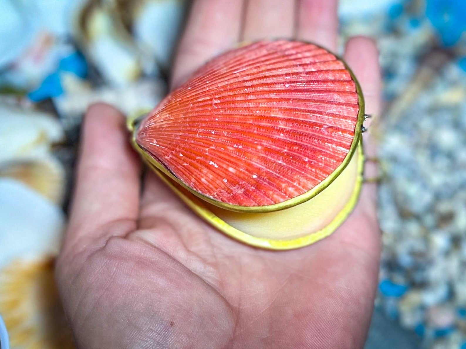 MandalaGems + Seashell Compact