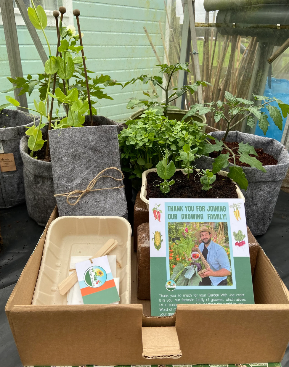 Garden With Joe + Grow Your Own Box Set