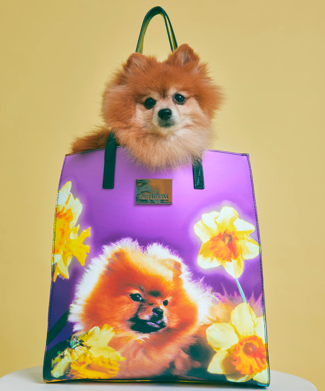 Poppy Lissiman + Pom Pet Book Bag