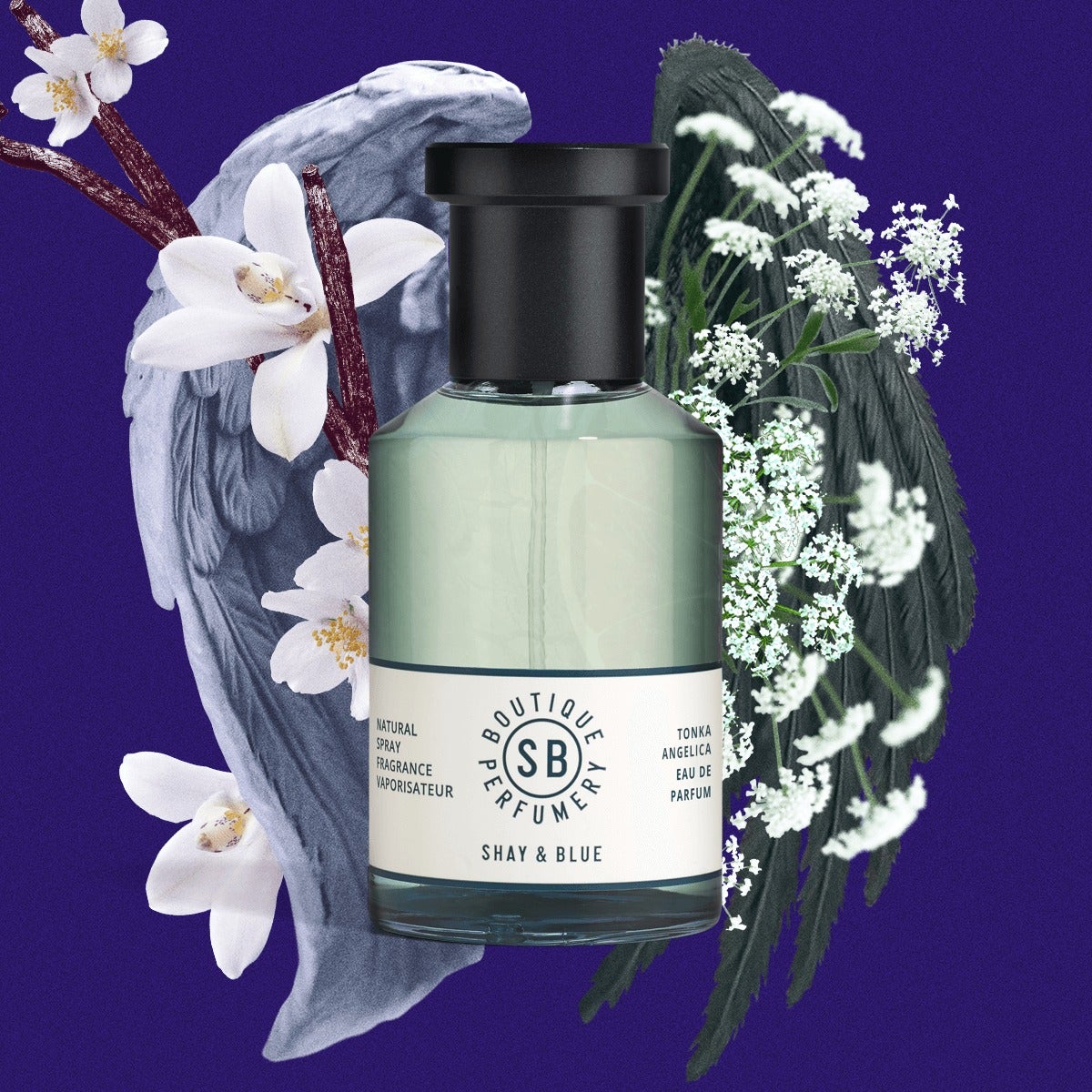 Shay & Blue + Tonka Angelica fragrance 100ml