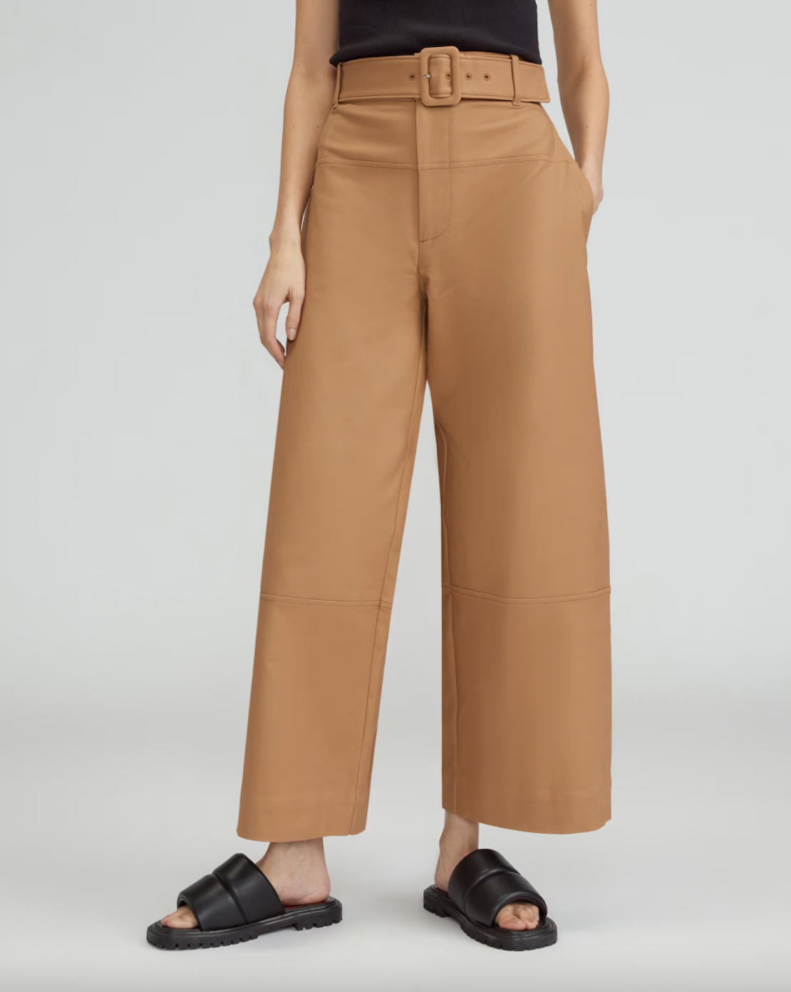 Everlane + The Structured Cotton Belted Pant
