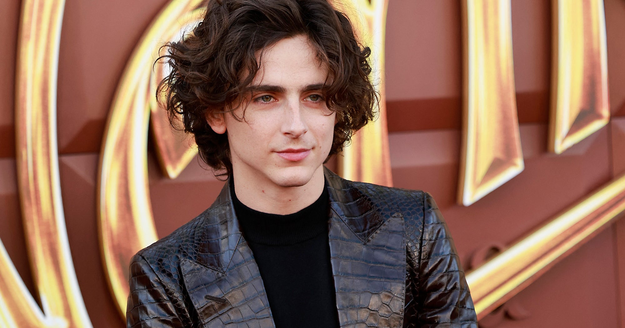 Timothée Chalamet's Favorite Video Game Is A Throwback