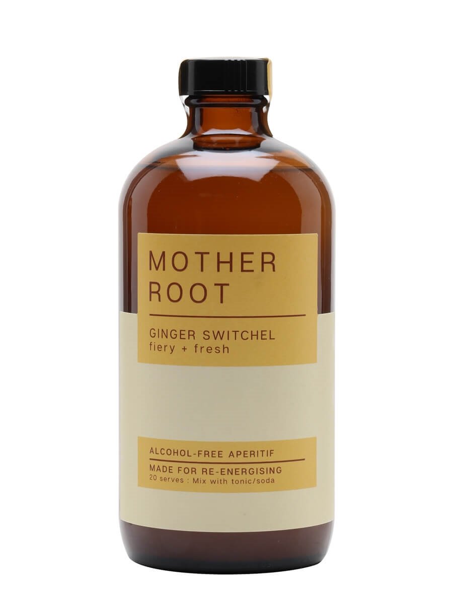 Mother Root + Ginger Switchel