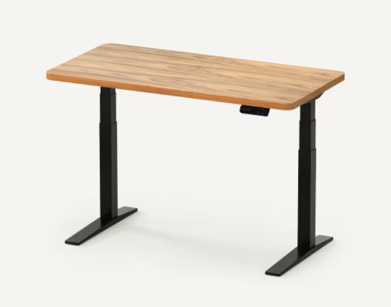 Flexispot + E7 Pro Premium Standing Desk
