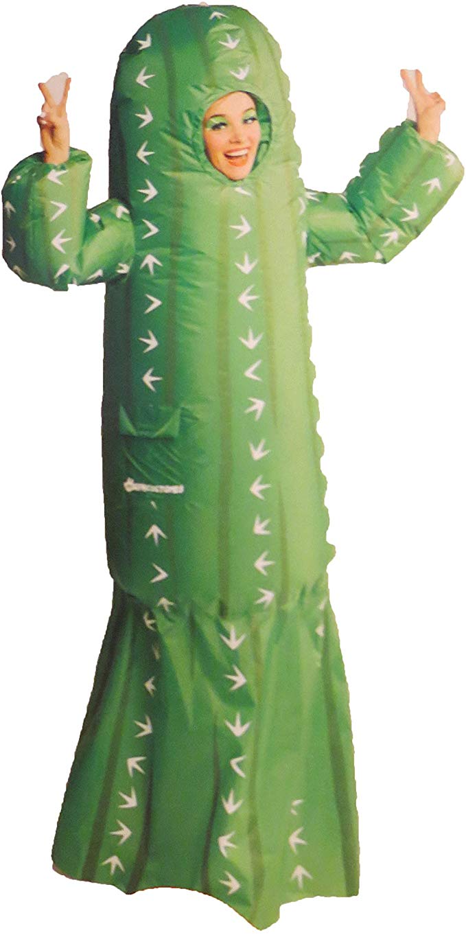 Hyde and Eek! Boutique + Inflatable Succulent Costume