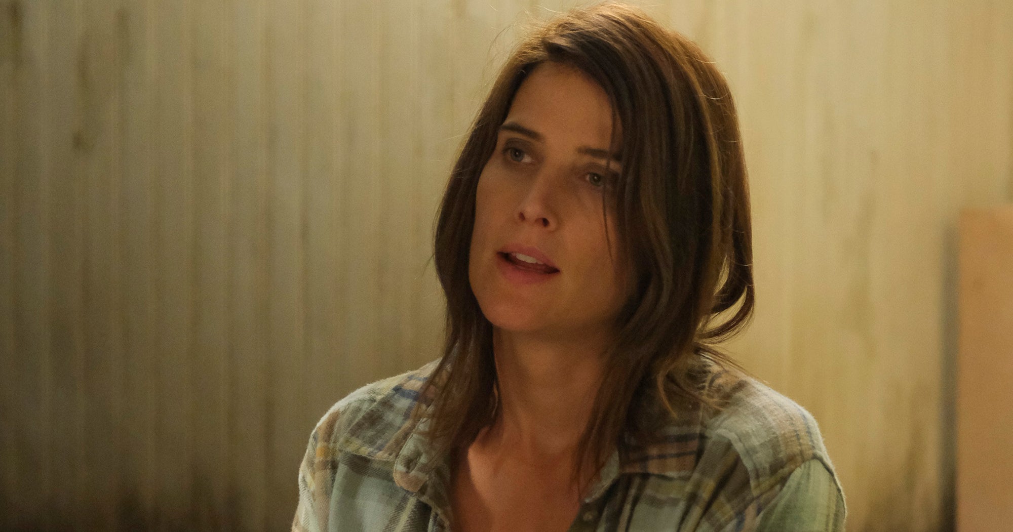 Who Is Who In The Cast Of ABC Series Stumptown?