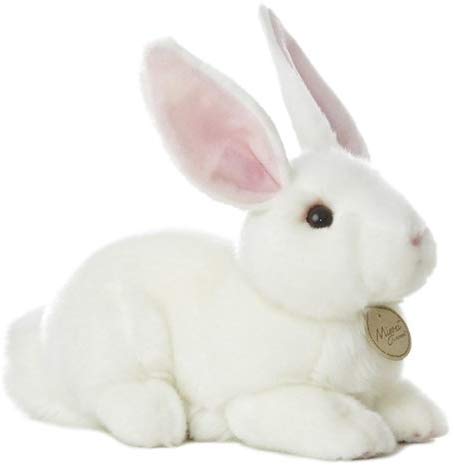 Aurora + Plush Bunny