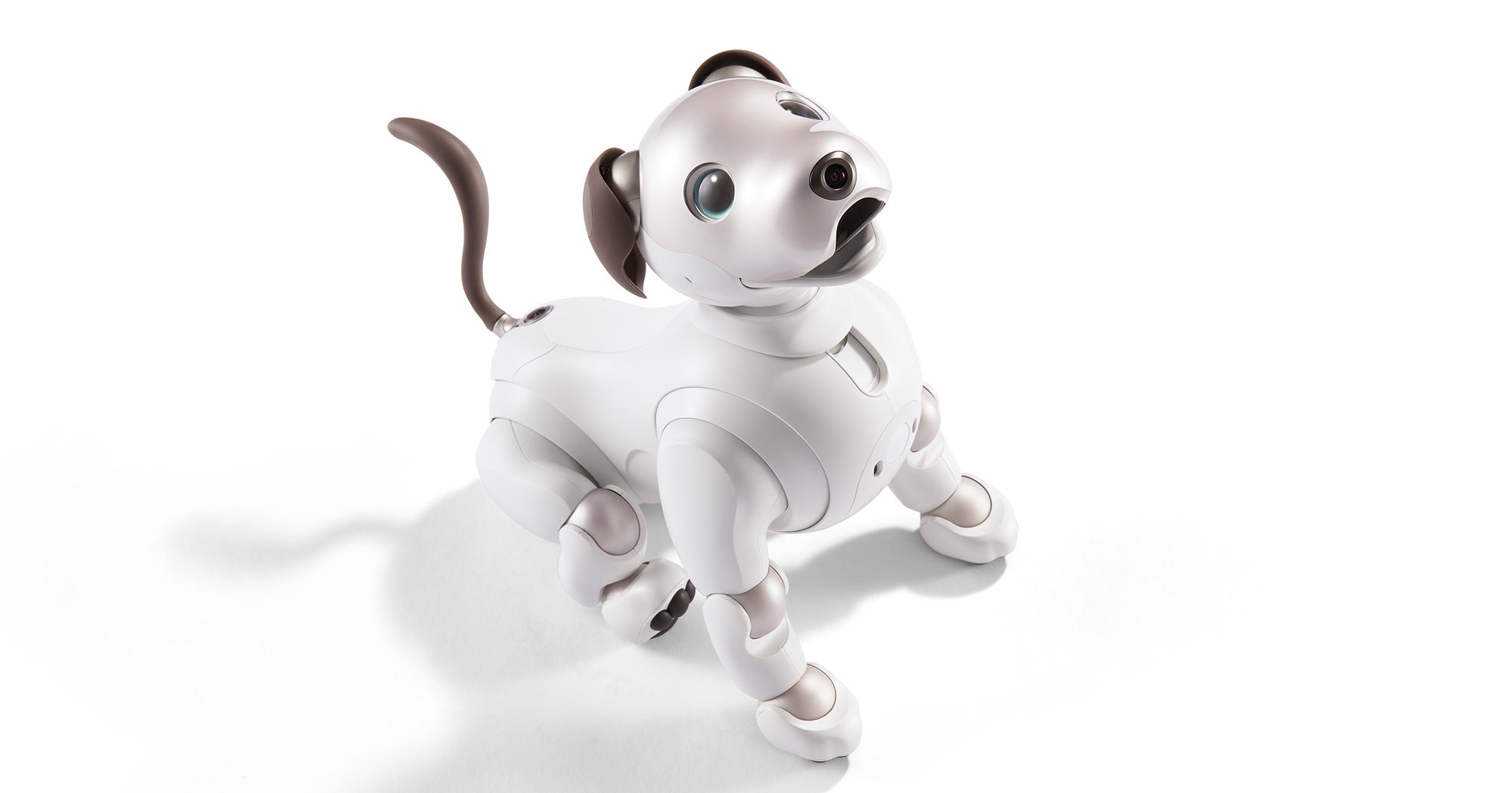 Robot Dog Review: My Week With Aibo