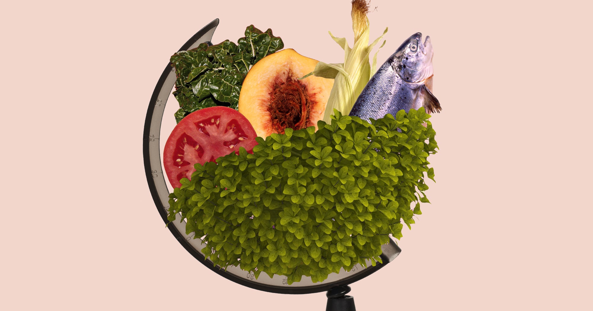 Carbon Diet Trend: Healthy For Environment & Your Body Carbon Diet Trend: Healthy For Environment & Your Body