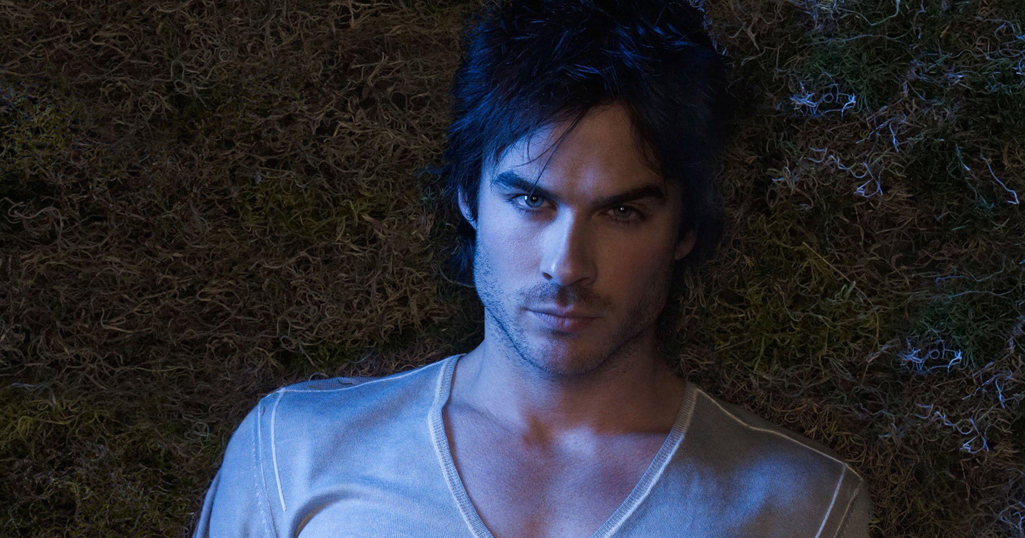 Netflix Series Dracula V Wars Says Vampires Are Back In