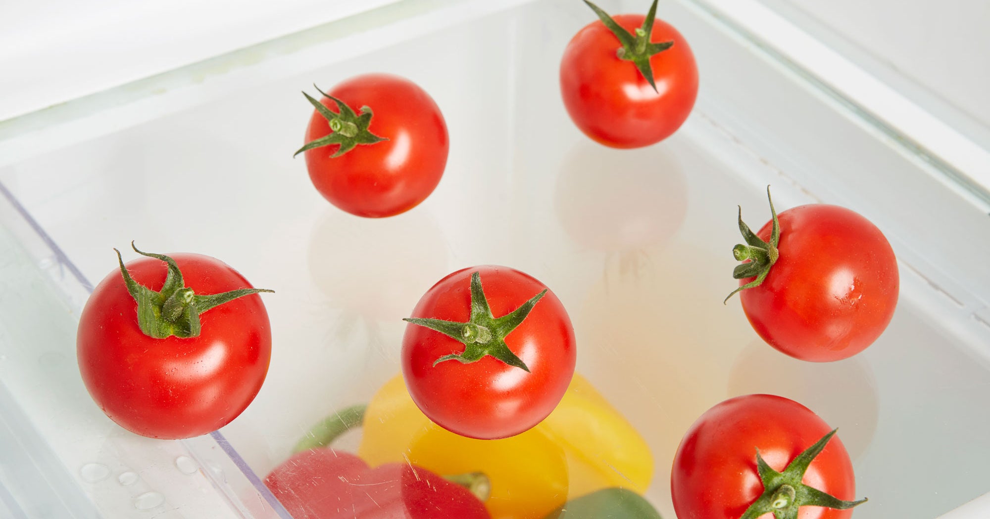 Food Waste: Solutions, Tips & Tricks