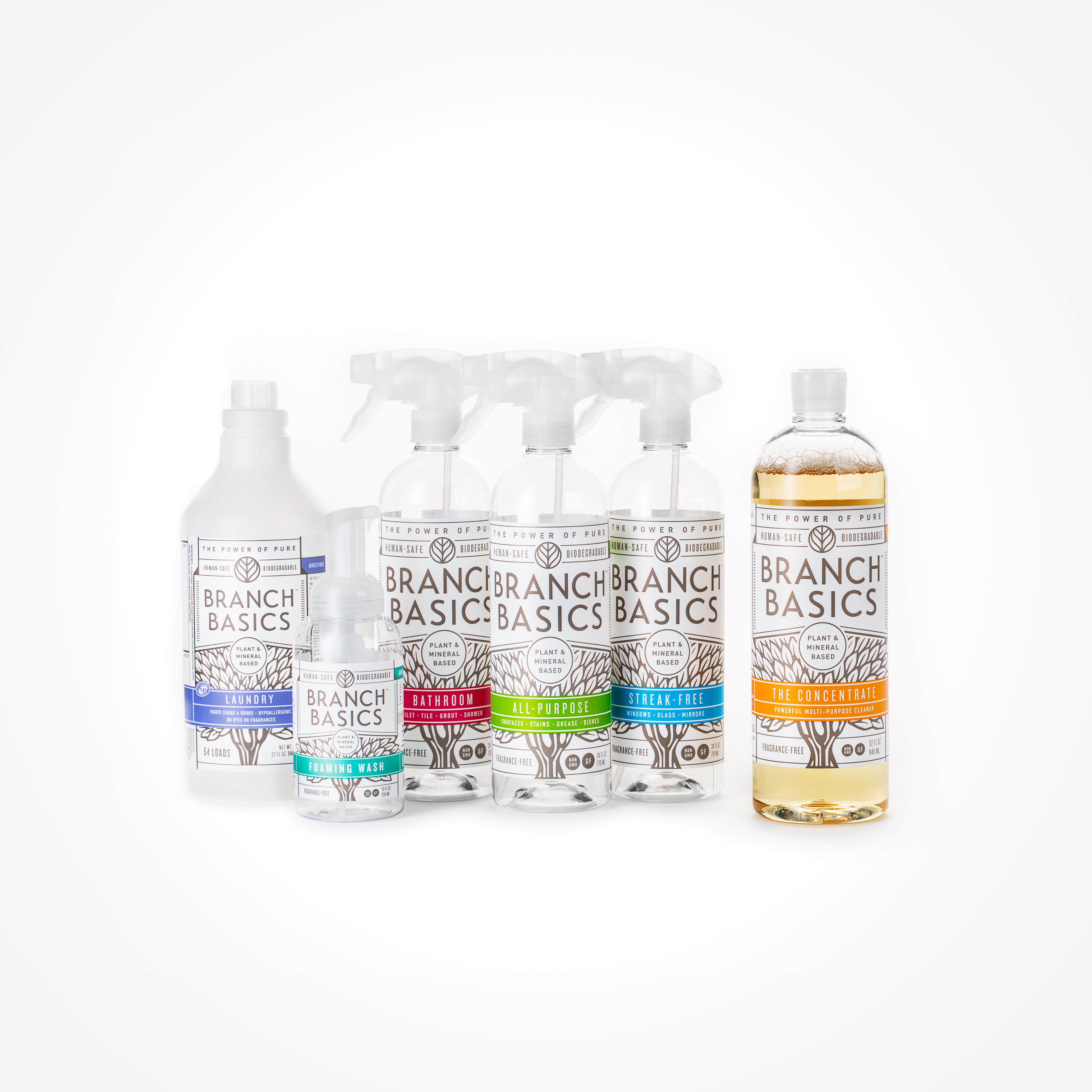 Branch Basics + Starter Kit