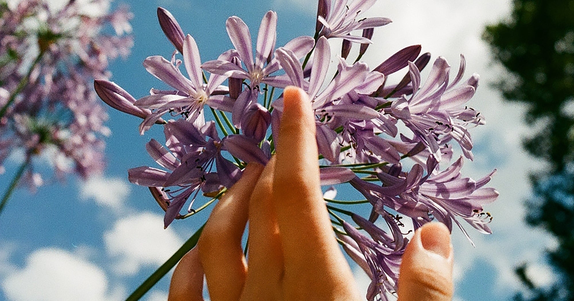 What Is Spring Vernal Equinox 2022 Spiritual Meaning