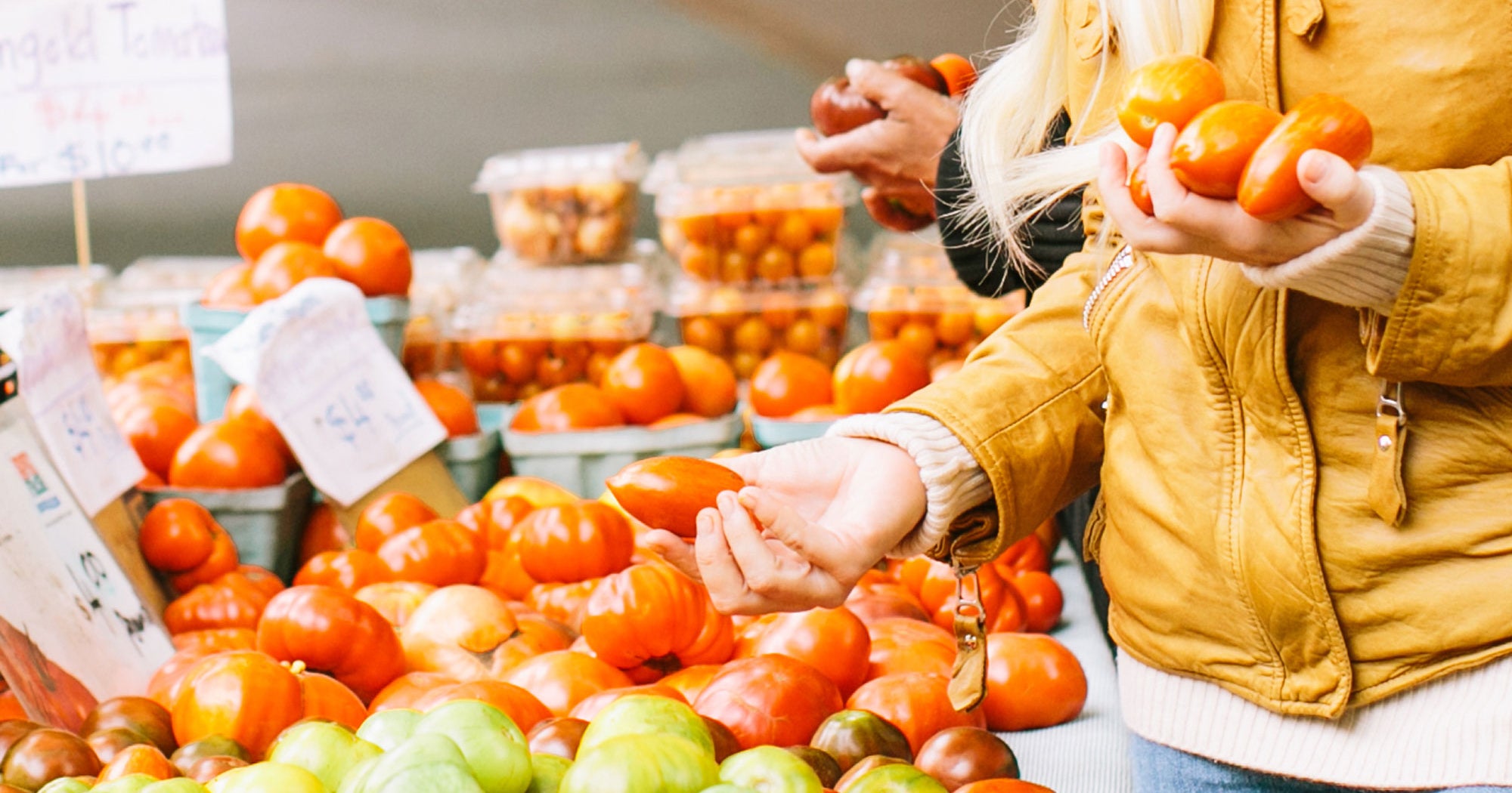 Best Grocery Delivery, Meal Kits & CSA Boxes Canada