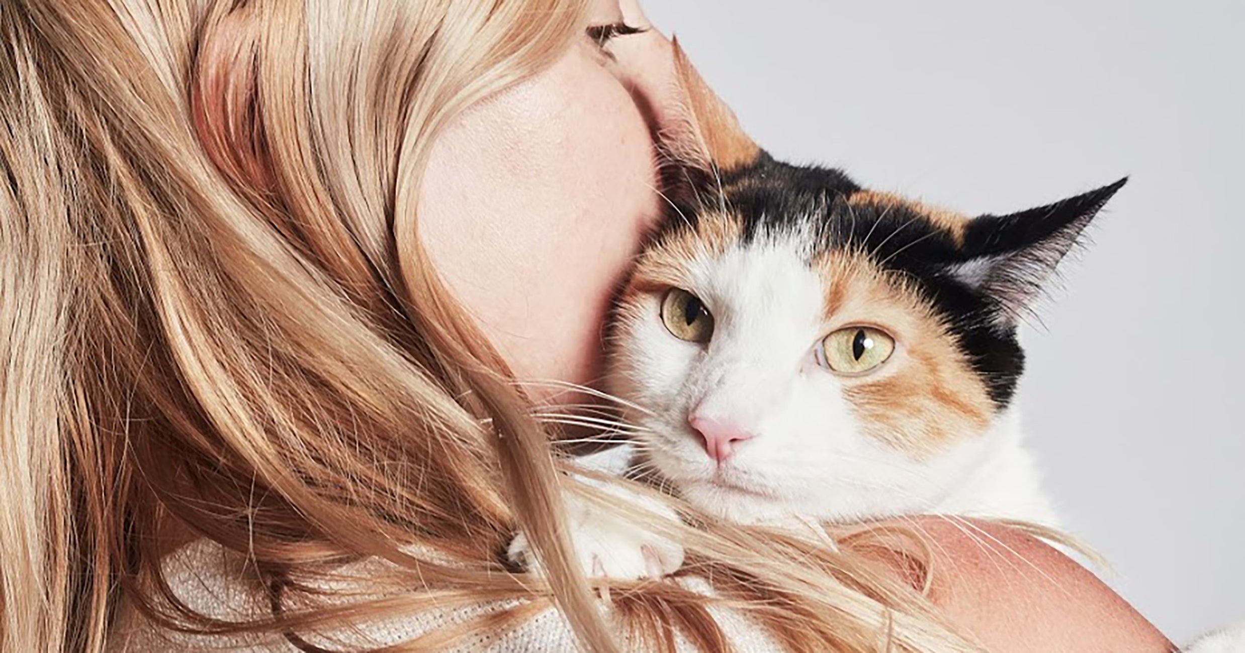 Pet Brands That Give Back To Animals In Need pet-brands-that-give-back-to-animals-in-need