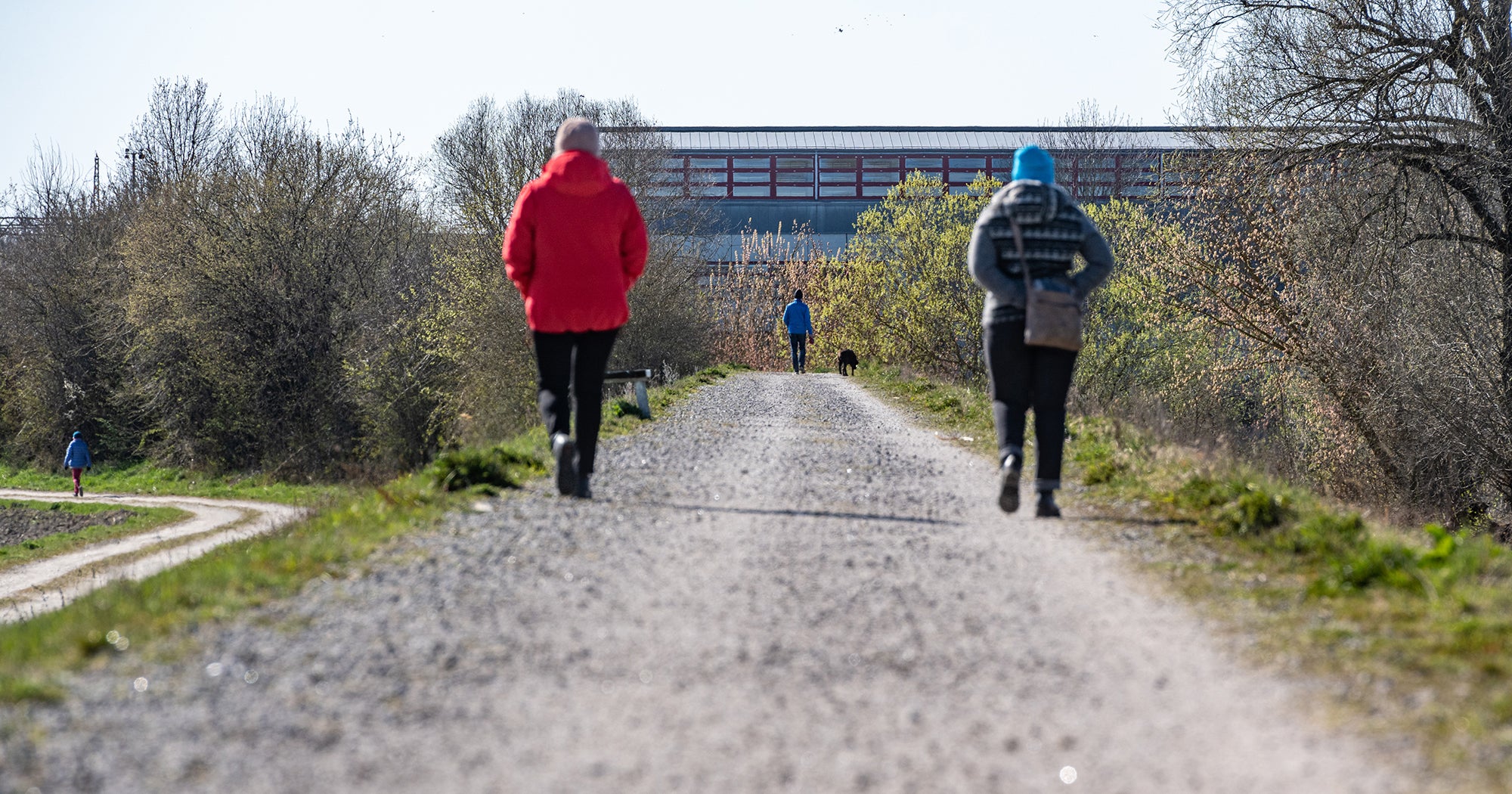 Is Social Distancing Working? Coronavirus US Results