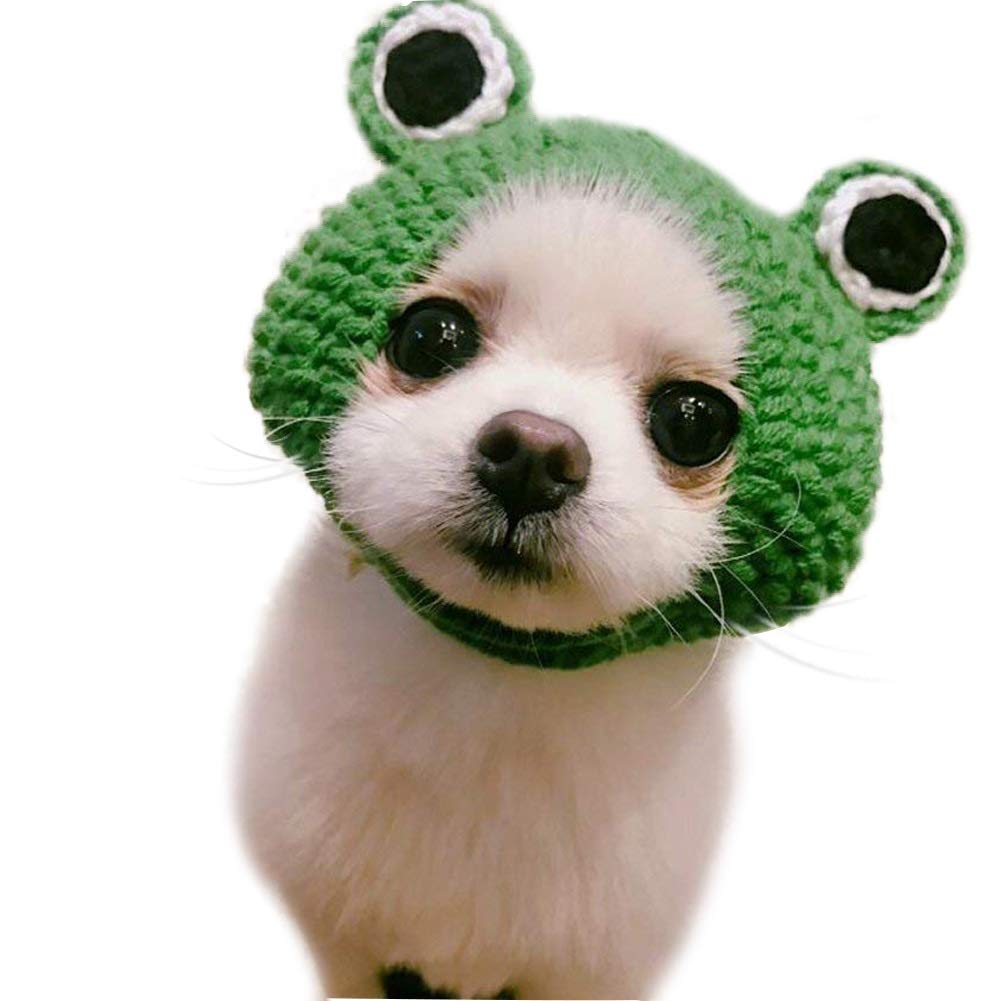 Bonaweite + Knitted Frog Cap