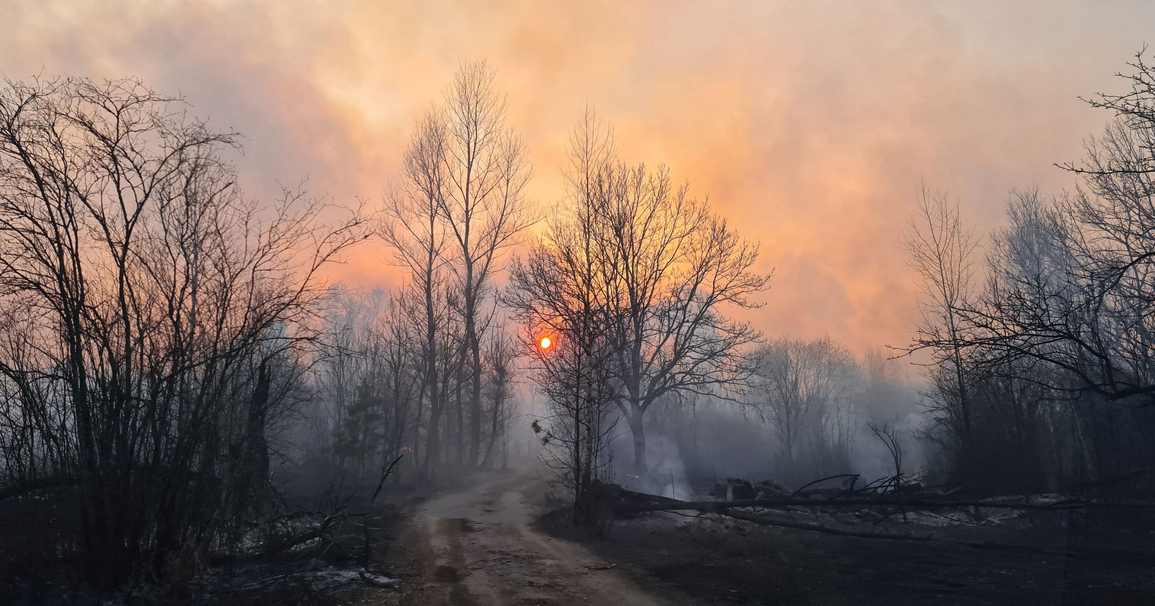 Chernobyl Forest Fire Causes Fear Of Radiation Spike