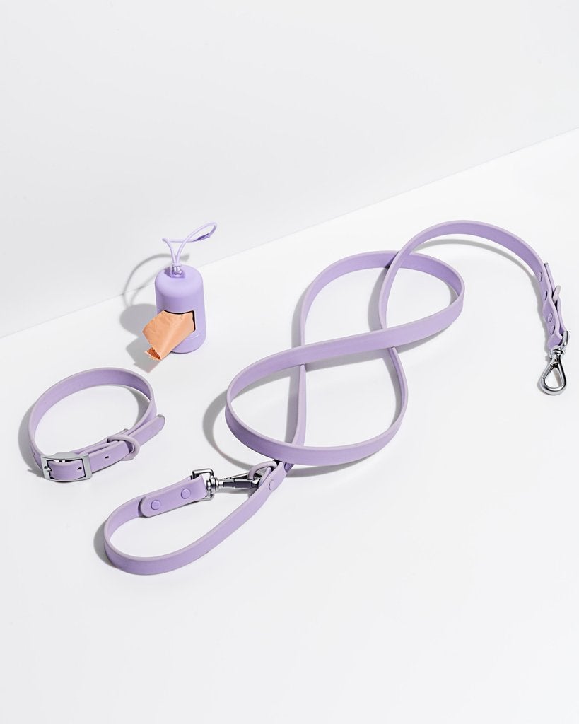 Wild One + Walk Kit – Lilac