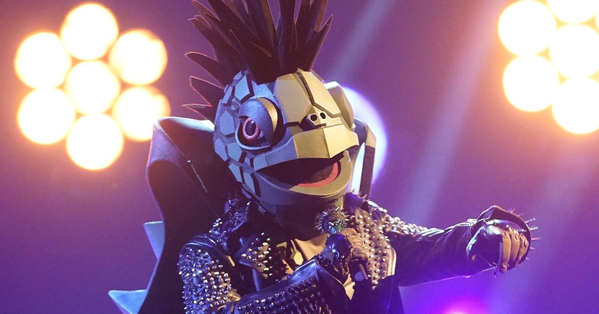 Did New Clues Just Prove The Turtle Is Adam Lambert?