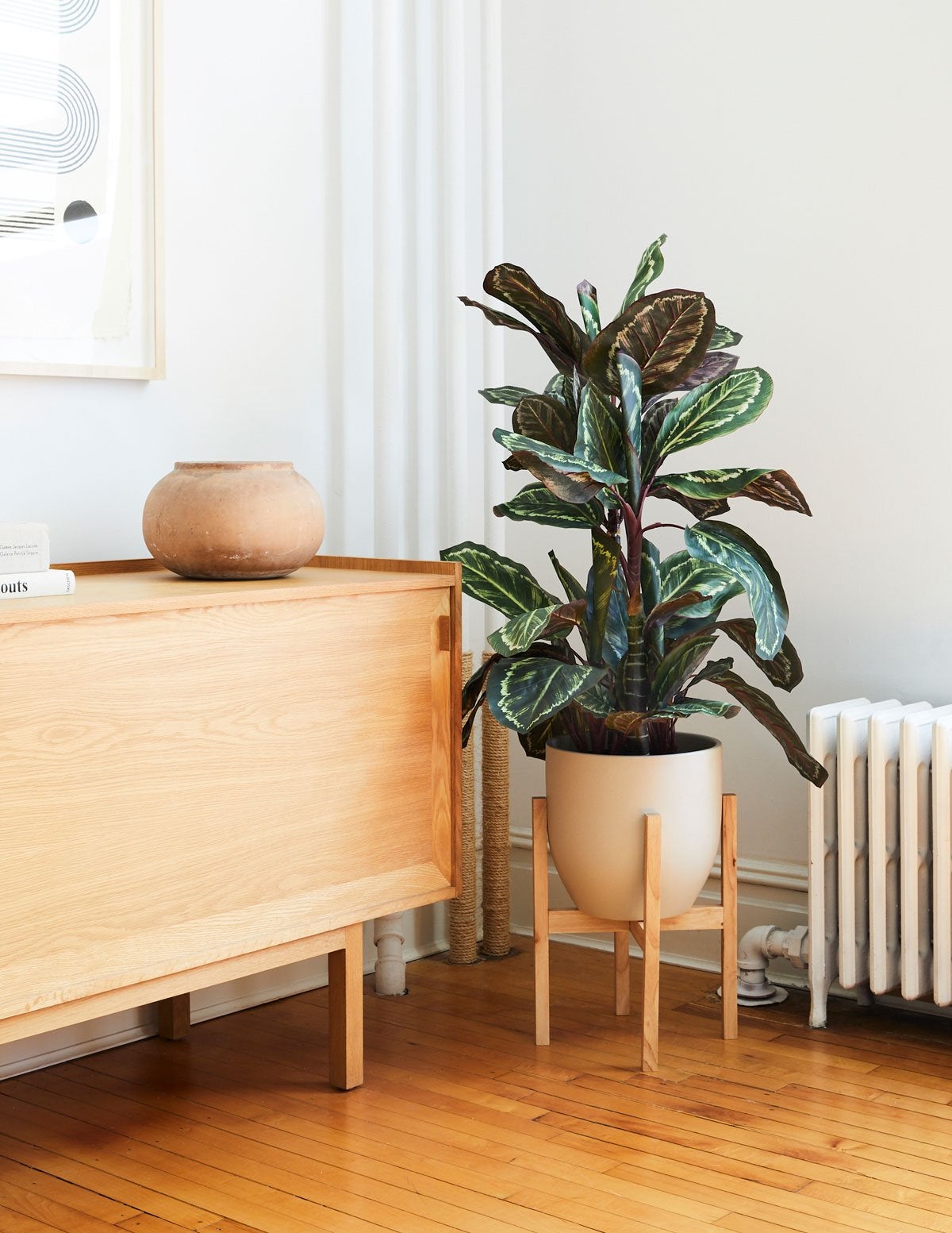 The Sill + Plant Stand