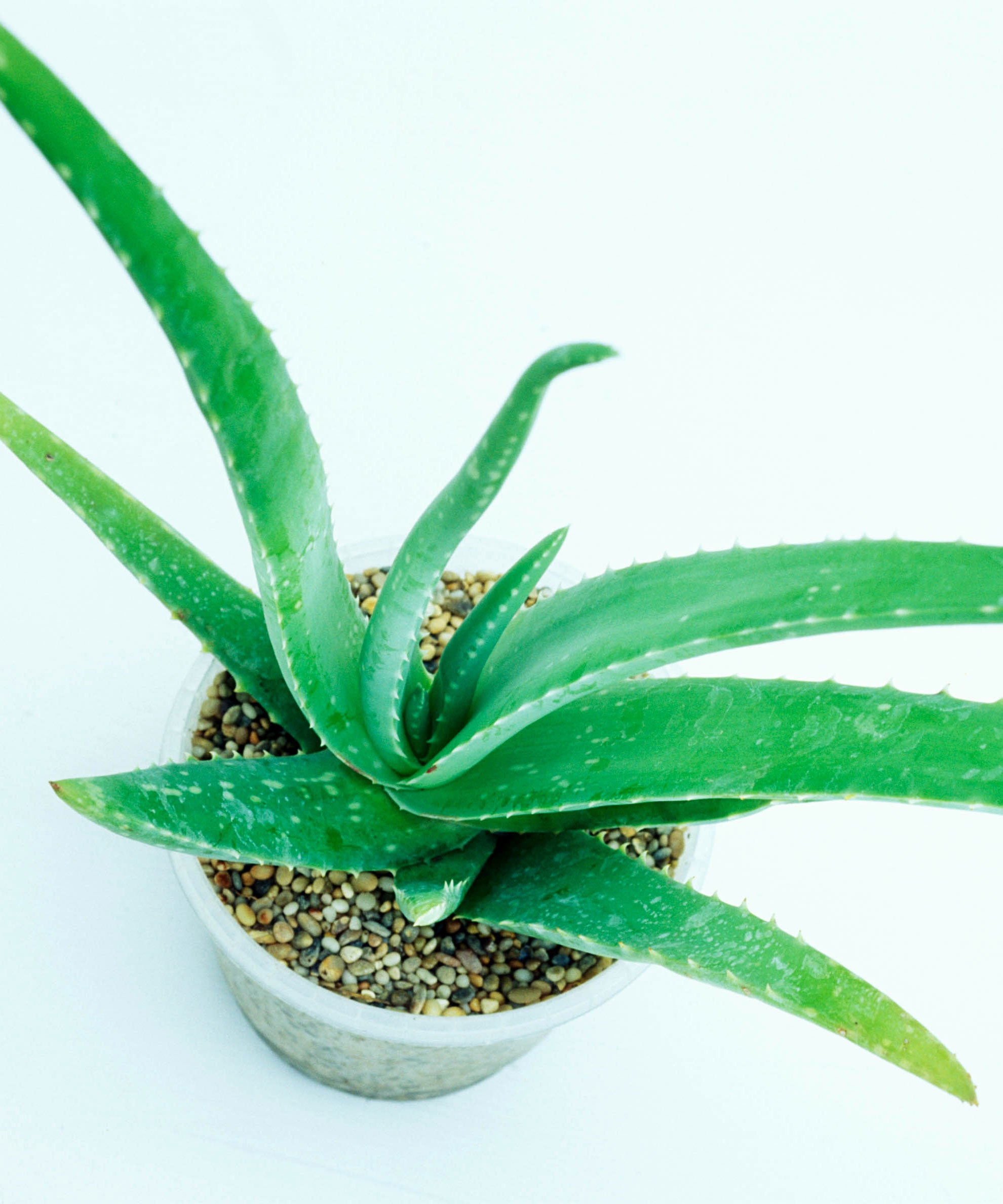 DIY Lube: How-To Make Your Own Homemade Lube