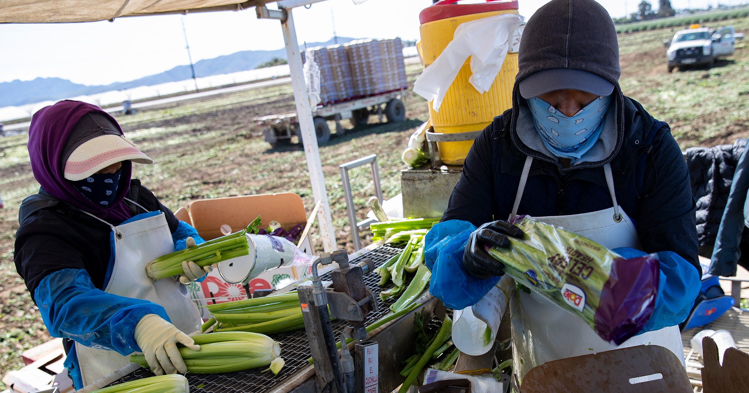 California Will Give Undocumented Immigrants Relief Aid