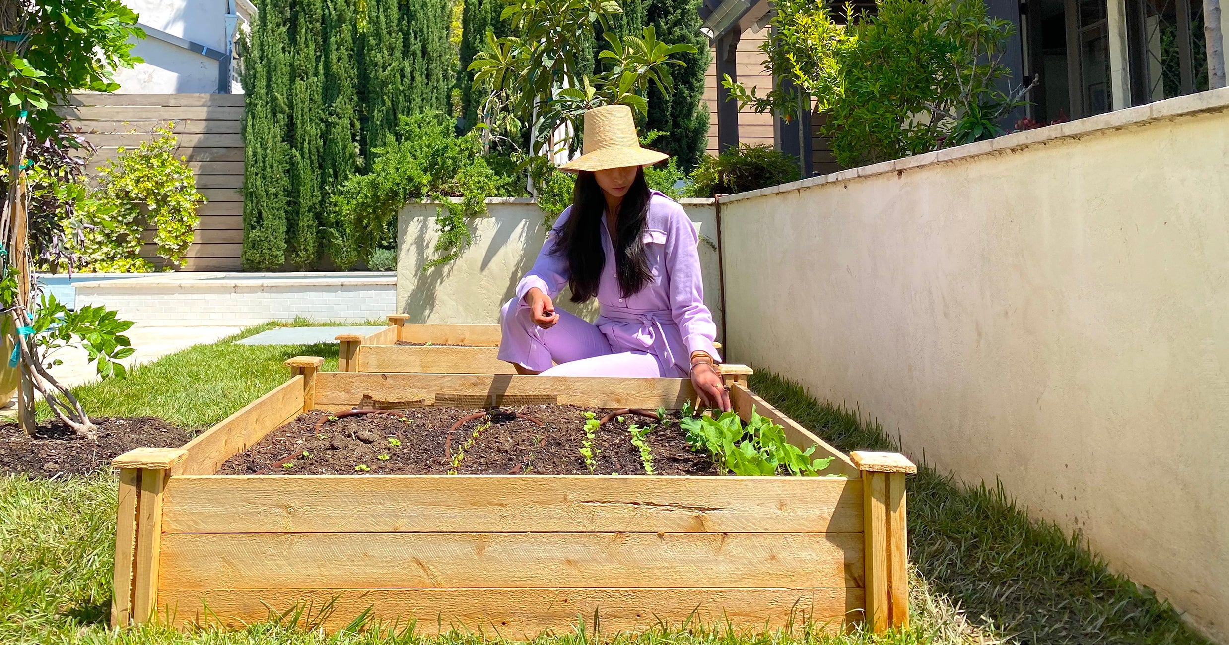 Gardening During Coronavirus Is More Than Just A Hobby