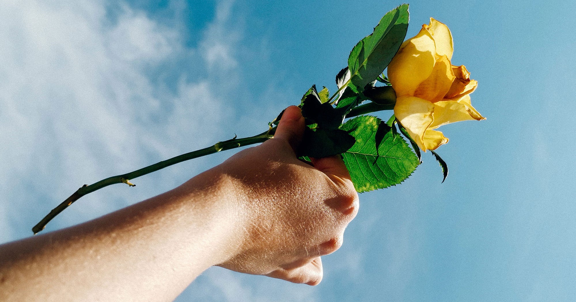 Long Distance Relationships Coronavirus Uncertainty