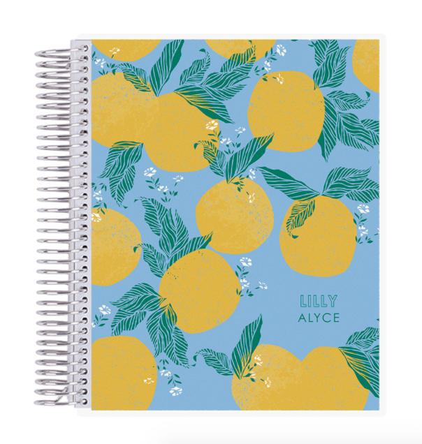 Erin Condren + Fruity Beauty Notebook