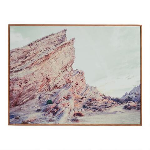 Cost Plus World Market + Vasquez Rocks Framed Canvas Wall Art